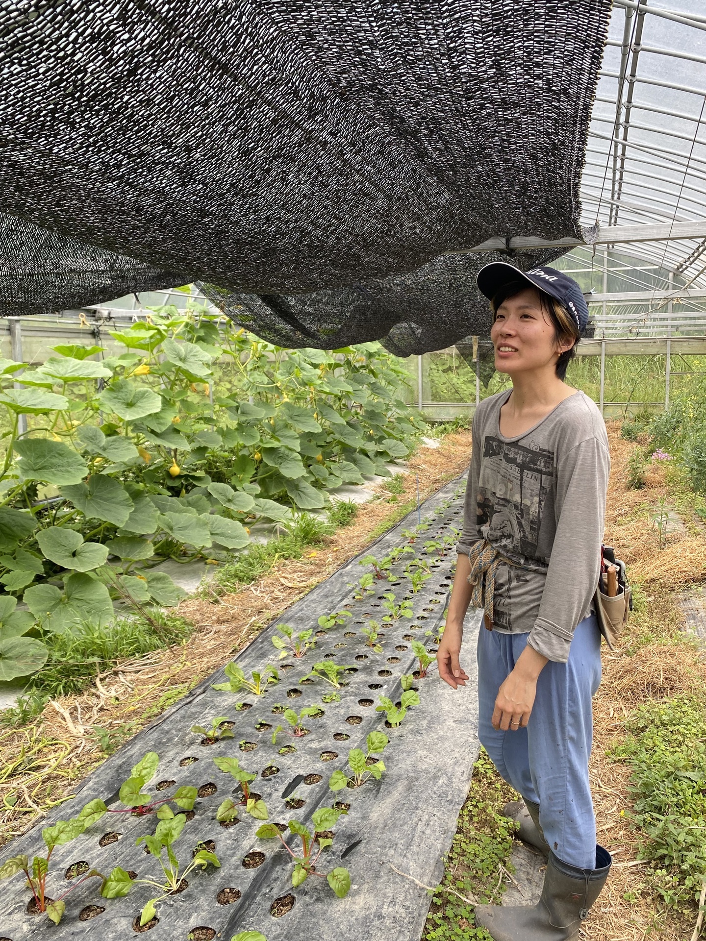 「雲の上のカフェ -another sky-」で、「雲の上ガーデン」サラダ: 高知のモノ・コト・ヒトカタログ