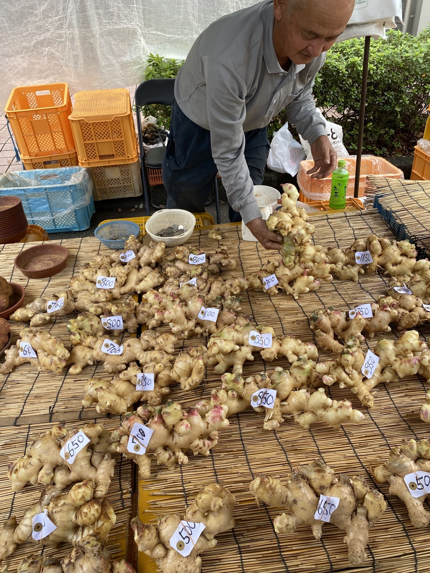 秋の日曜市: 高知のモノ・コト・ヒトカタログ